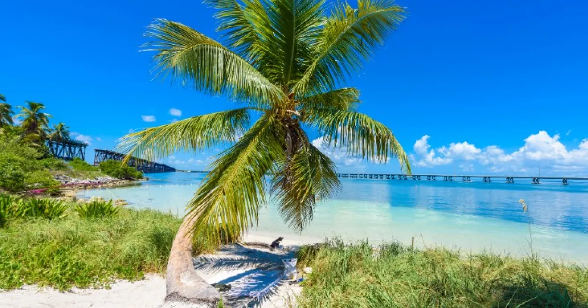 "Seaside Serenity: Relax and Rejuvenate at Florida's Beachside Resorts"